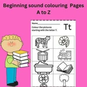 Grade 1 Nouns Worksheets ||No Prep ||17 Printables||Nouns Worksheets Packet
