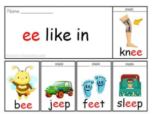ee words: Definition Examples and free printable of ee words